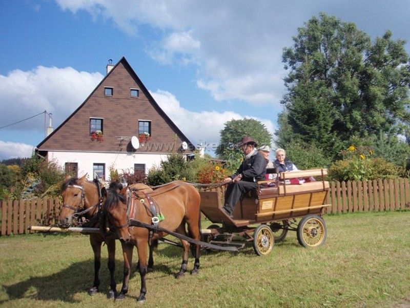 Bodisch - Bohdašín, Teplice nad Metují